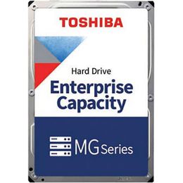 Toshiba interne HDD-Festplatte "Cloud-Scale MG10F Series 22TB", grau, 22 TB, Festplatten