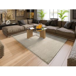 Teppich OCI DIE TEPPICHMARKE "NEW VILLA MELANGE, auch als L&auml;ufer und in rund", beige, B:240cm H:20mm L:290cm, Polypropylen, Teppiche, Teppich, dichter Shaggy, melierte uni Farben, robuster Hochflor, Wohnzimmer