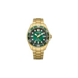 Citizen Herrenuhr Eco-Drive BN0262-59W