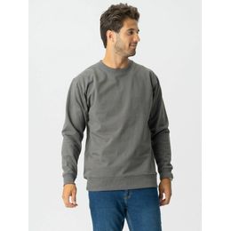 Rundhalspullover TEESHOPPEN "TEESHOPPEN Pullover Sweatshirt", Herren, Gr. L, dunkelgrau, Obermaterial: 65% Baumwolle, 35% Polyester, Pullover Rundhalspullover
