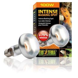 EXO TERRA Intense Basking Spot Leuchtmittel 100