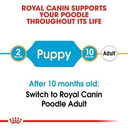 Royal Canin Poodle Puppy Welpenfutter trocken f&uuml;r Pudel 2x3kg