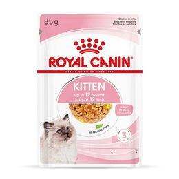 Royal Canin KITTEN Nassfutter in Gelee f&uuml;r K&auml;tzchen 12x85g