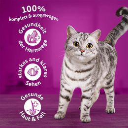 whiskas Adult 1+ mit Thunfisch Katzen-Trockenfutter mit Vitaminen 3,8kg