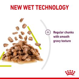 Royal Canin Sensory Smell Gravy Katzen-Nassfutter f&uuml;r Geruchssinn 12x85g