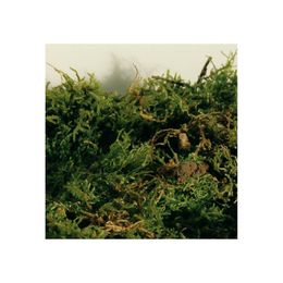 LUCKY REPTILE Vivarium Moss 150 g Terrarium Bodengrund