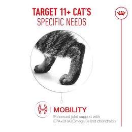 Royal Canin AGEING 11+ 2 kg