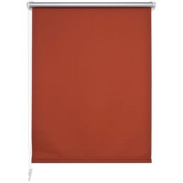 Seitenzugrollo Liedeco Gr. 4, orange (terra), B:45cm H:150cm, Polyester, Rollos, Seitenzugrollo