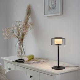 Paul Neuhaus Rika Tischleuchte, LED, 4110-18,