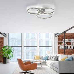 Paul Neuhaus Paan Deckenleuchte, LED, 6233-55,