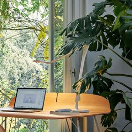 Kartell Aledin Tec Tischleuchte, LED, 0919003,