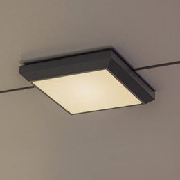 Lutec Helena Deckenleuchte 1-flammig, LED, 5102101118,