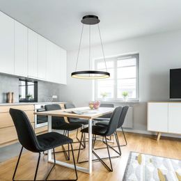 Paul Neuhaus Hoop Pendelleuchte LED, 2851-18,