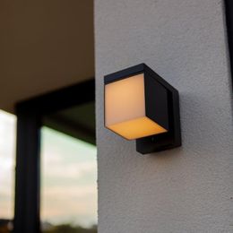 Lutec Prima Wandleuchte, LED, 6993801118,
