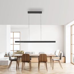 Paul Neuhaus Adriana Pendelleuchte LED, 2575-13,