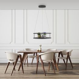 Paul Neuhaus Conni Pendelleuchte LED, 2442-18,