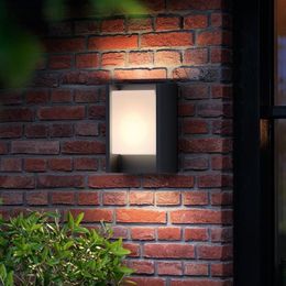 Philips Arbour Wandleuchte Ultra Efficient LED, 8719514490222, Ultra Efficient