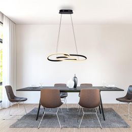 Paul Neuhaus Twist Pendelleuchte, LED, 2764-18,