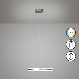Fischer und Honsel Fischer & Honsel Sirko Pendelleuchte, LED, Up & Downlight, 61110,