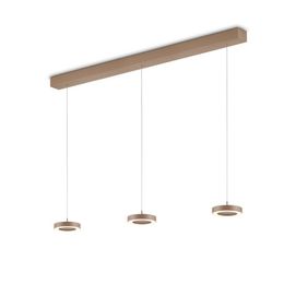 Knapstein Daja Pendelleuchte, LED, 3-flammig, 51.526.62,