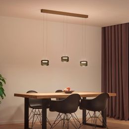 Knapstein Sidra Pendelleuchte, LED, 6-flammig, 51.529.34,