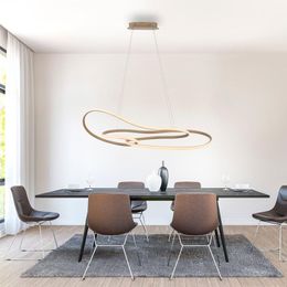 Paul Neuhaus Twist Pendelleuchte, LED, 2765-39,