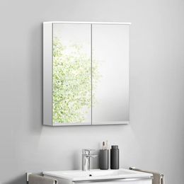 evineo ineo PRO Spiegelschrank mit Waschtischbeleuchtung B: 60 H: 71 T: 18 cm, 2 T&uuml;ren, BEA048MI,