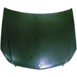 DIEDERICHS Motorhaube 1672100 f&uuml;r Mercedes