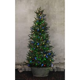 Eglo LED-Lichterkette "SERIE LED - Weihnachtsdeko - Beleuchtung - Winterdeko", schwarz (schwarz, bunt), Flammen 160 Stk., Kabell&auml;nge 5m x Gesamtl&auml;nge 7m, Lichterketten, Beleuchtung f&uuml;r innen und au&szlig;en, buntes Lichternetz mit Kabel, 2 m