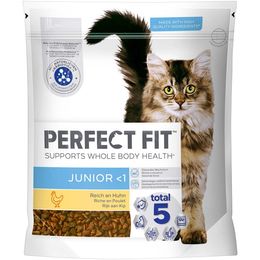Perfect Fit Junior Huhn Katzen-Trockenfutter unterst&uuml;tzt gesunde Verdauung 1,4kg
