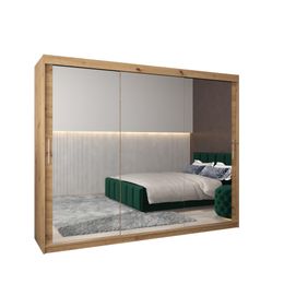 SCHWEBET&Uuml;RENSCHRANK 200/250/62 3-t&uuml;rig