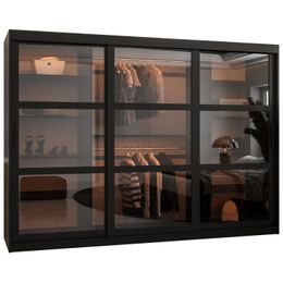 SCHWEBET&Uuml;RENSCHRANK 200/250/62 3-t&uuml;rig