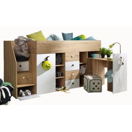 HOCHBETT 249/123/93