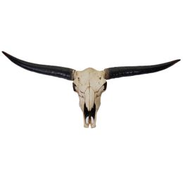 MCW DEKO SCH&Auml;DEL STIER Beige, Schwarz