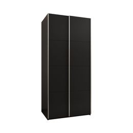SCHWEBET&Uuml;RENSCHRANK 245,5/100/64 2-t&uuml;rig