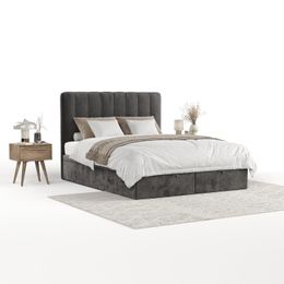 POLSTERBETT Vienna mit Stauraum 120/200 cm Stahl im Lotta Stoff
