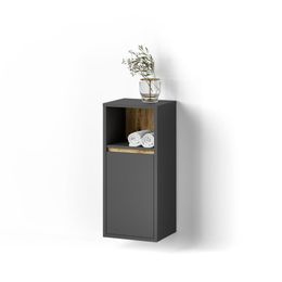 MIDISCHRANK Vomano Anthrazit 38 x 80 cm