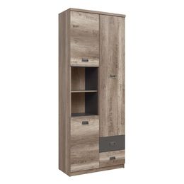 B&Uuml;CHERREGAL Abel Holz und Grau