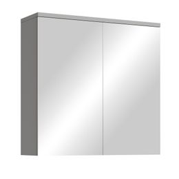 Badplaats SPIEGELSCHRANK Toledo Grau Matt - 60 x 20 x 60 cm