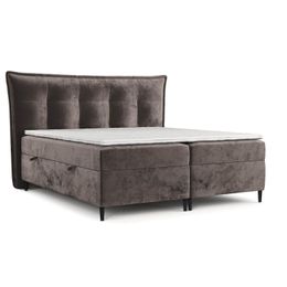 BOXBETT Las Palmas 160/200 cm Braun im Lotta Stoff
