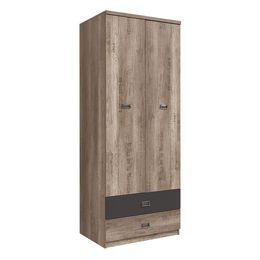 SCHRANK 2 T&uuml;ren Abel Holz und Grau