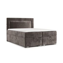 BOXBETT Lontano 160/200 cm Braun im Lotta Stoff