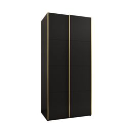 SCHWEBET&Uuml;RENSCHRANK 245,5/100/64 2-t&uuml;rig