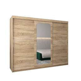 SCHWEBET&Uuml;RENSCHRANK 200/250/62 3-t&uuml;rig