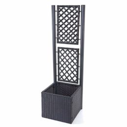 MCW POLY-RATTAN RANKGITTER Anthrazit