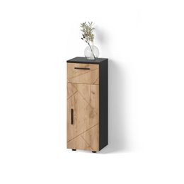 MIDISCHRANK Ronco Goldkraft Eiche/Anthrazit 30 x 81 cm