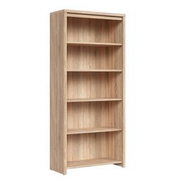 B&Uuml;CHERREGAL Soren Holz