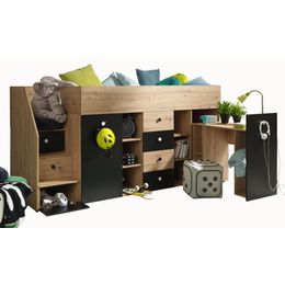 HOCHBETT 249/123/93
