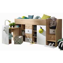 HOCHBETT 249/123/93