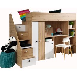 HOCHBETT 247/165/120